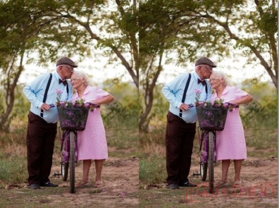 Grey Marriages: 60 ఏళ్ల తర్వాత మళ్లీ పెళ్లి...వృద్ధాప్యంలో ప్రేమ ...